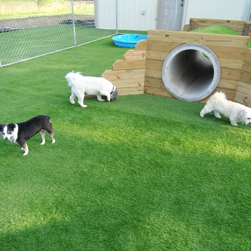 A Day by Day Accounting of The Dog Playground Project Solution Building