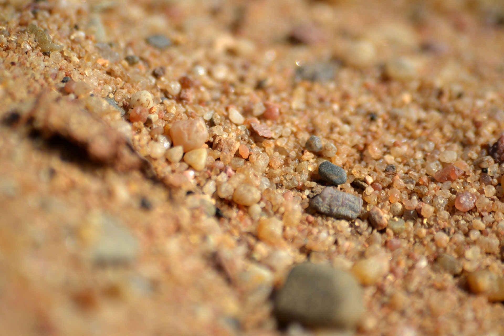 We Are All Important to the Building of God’s Kingdom Solution Building